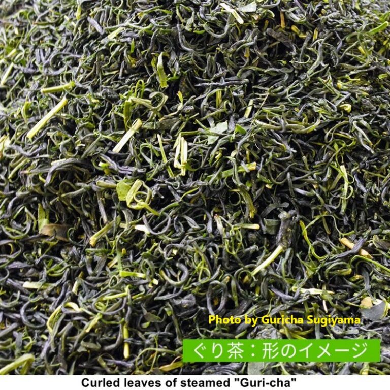 Shizuoka Tea – Jimmy's Izu Tours